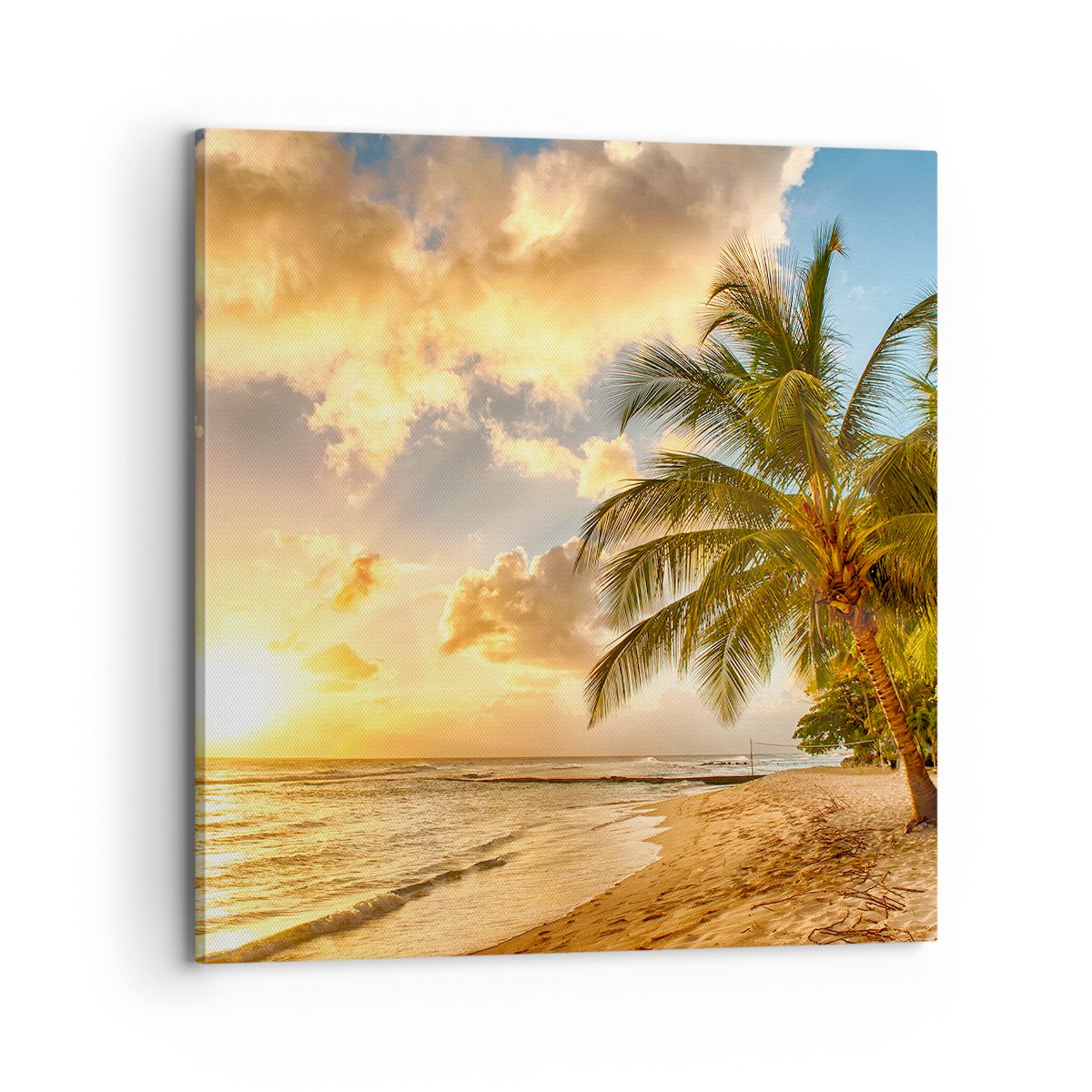 Tablou Canvas, 70x70 cm, Plaja Cu Palmieri Si Mare, AC70x70-3606 - eMAG.ro