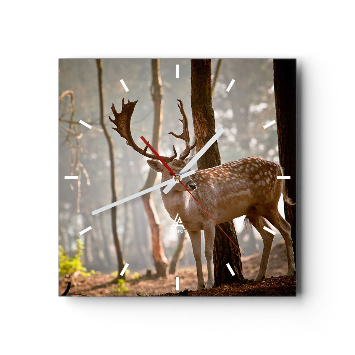 Zegar ścienny ARTTOR Światło młodości - daniel zwierze, C3AC40x40-2400 ...