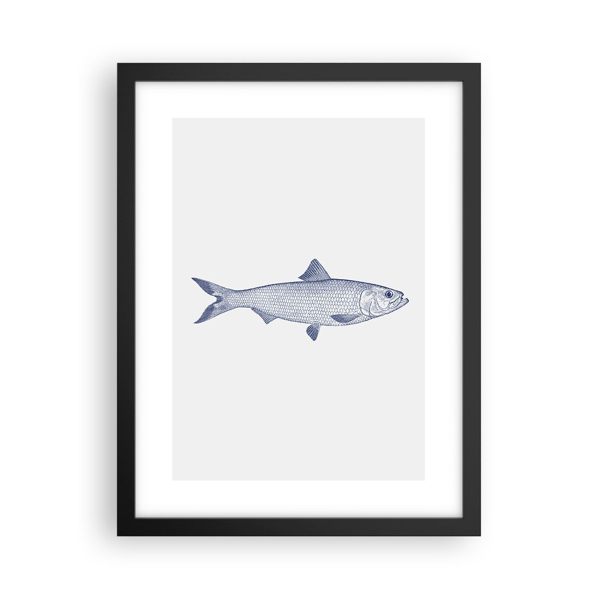 Wandbilder 30x40cm Poster Fisch Meerestier Küstenstil Bilder Art ...