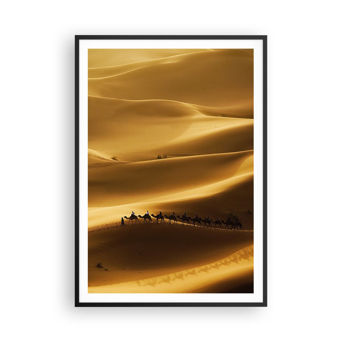 Wandbilder 70x100cm Poster Afrika Sahara Kamel Landschaft Bilder Art ...